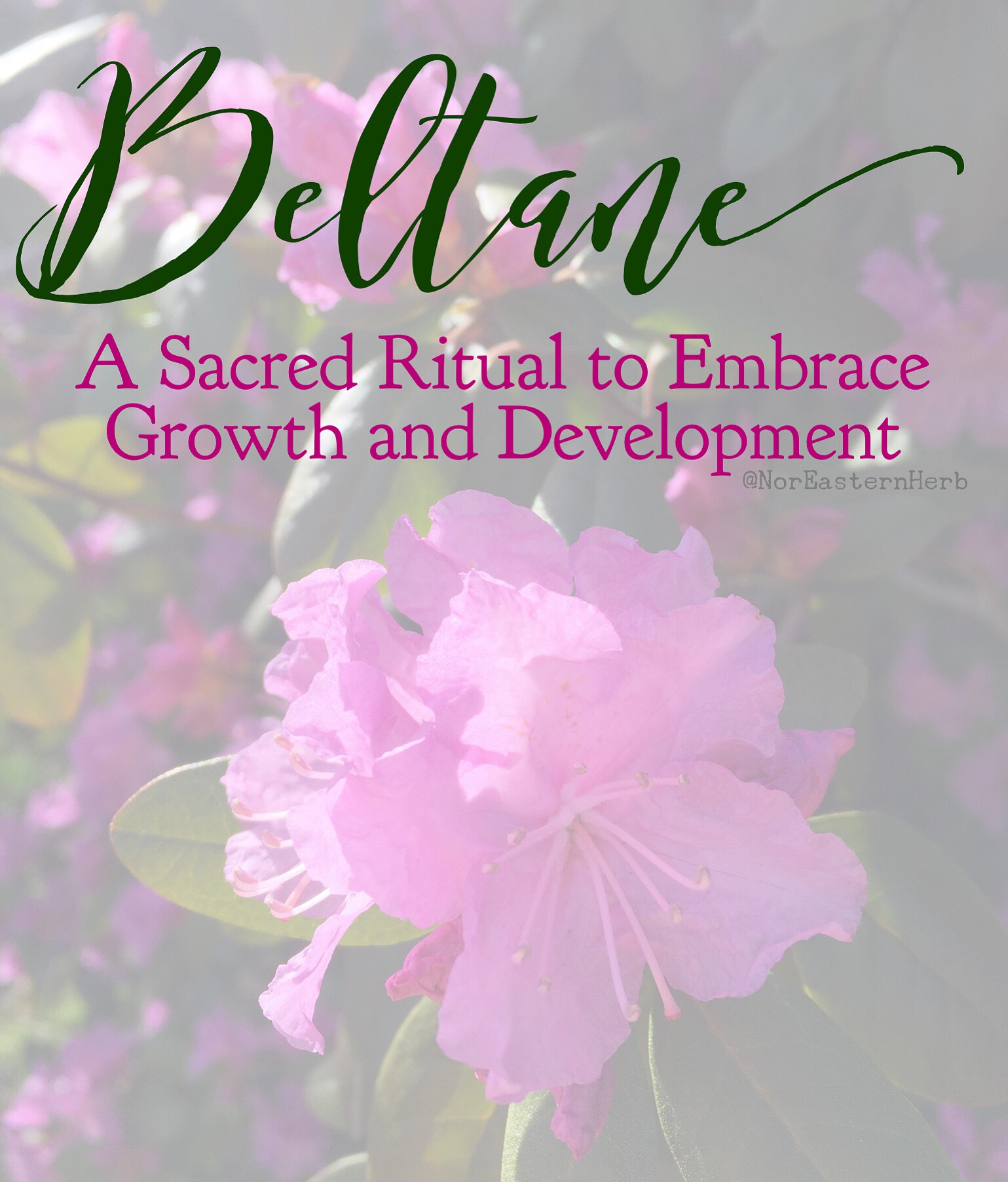 Beltane: A Sacred Ritual to Embrace Growth and Development • Nor ...