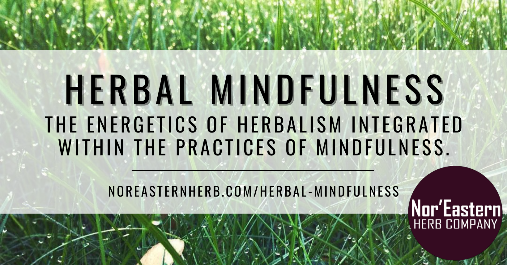 Herbal Mindfulness – Nor'Eastern Herb Company