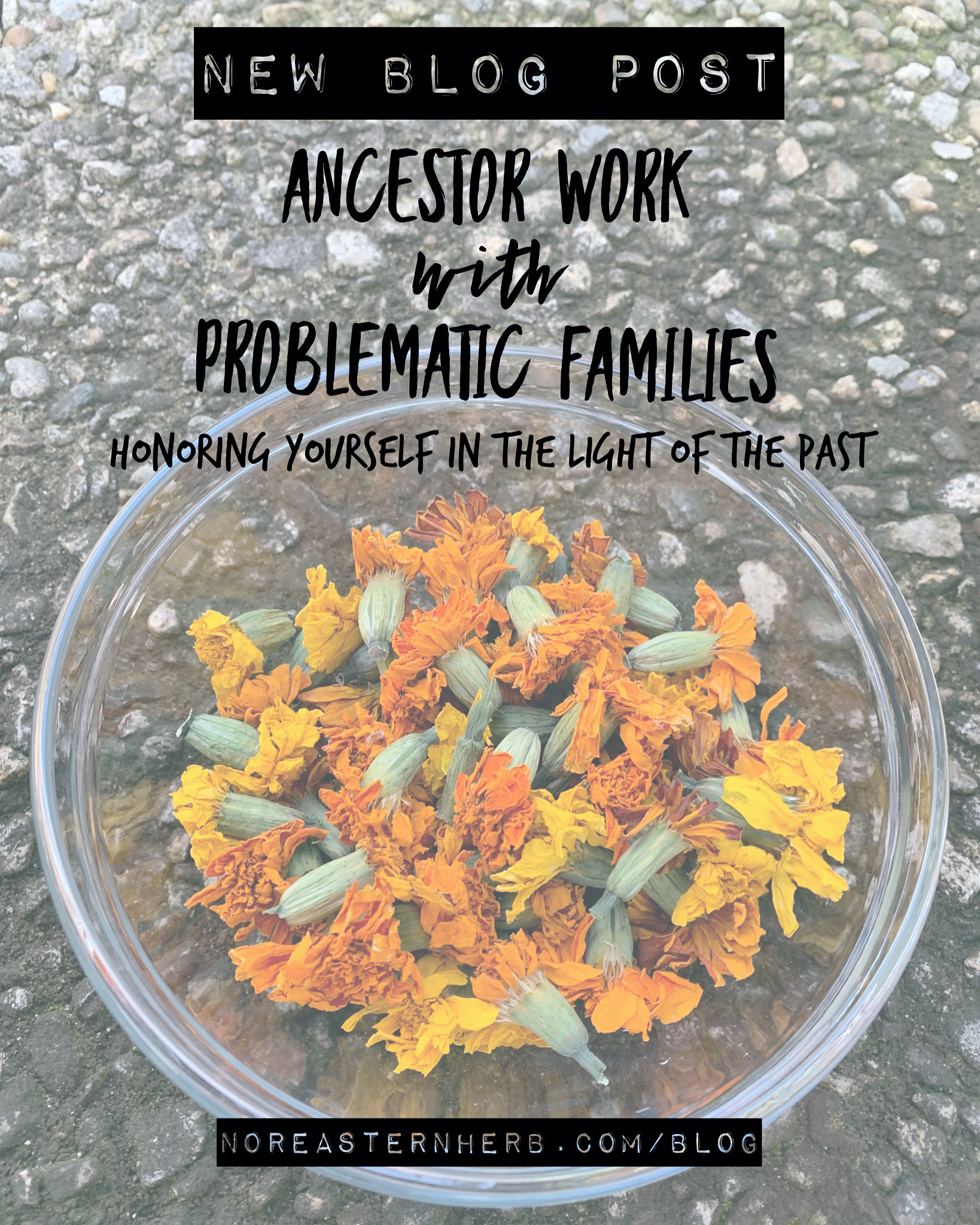 Ancestor Work with Problematic Families: Honoring Yourself in the Light ...